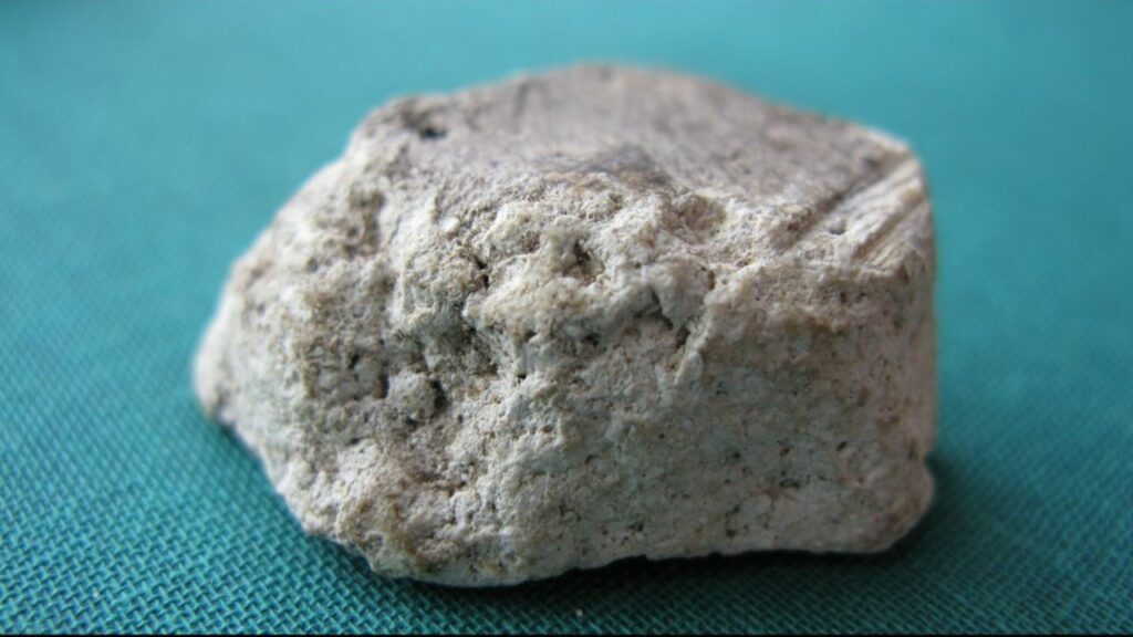 What Is Ambergris? - Blended Waxes