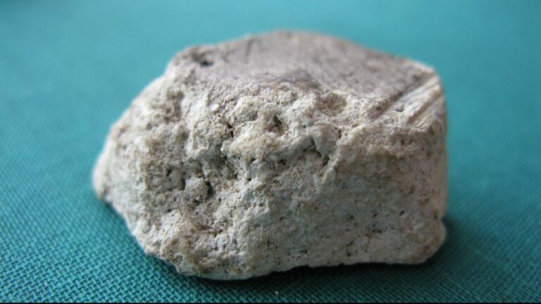 What Is Ambergris? - Blended Waxes